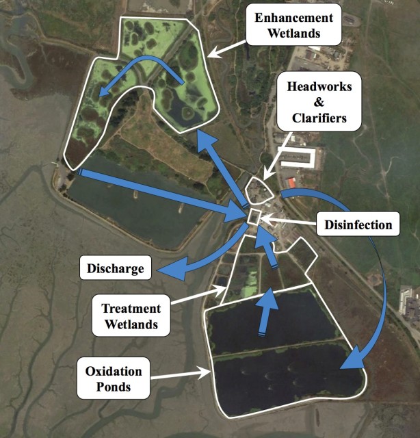 Wastewater Treatment | Friends of the Arcata Marsh